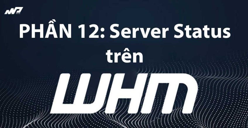 Tổng quan về WHM [Phần 12]: Server Status trên WHM | MDIGI