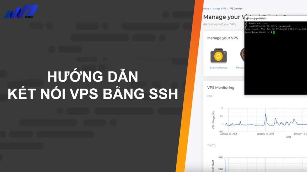 VPS cho người mới bắt đầu: Hướng dẫn cơ bản từ A-Z (2025)